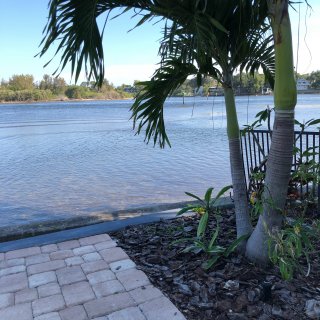 Hickory Point RV Park - Tarpon Springs, Florida - RV LIFE Campground ...